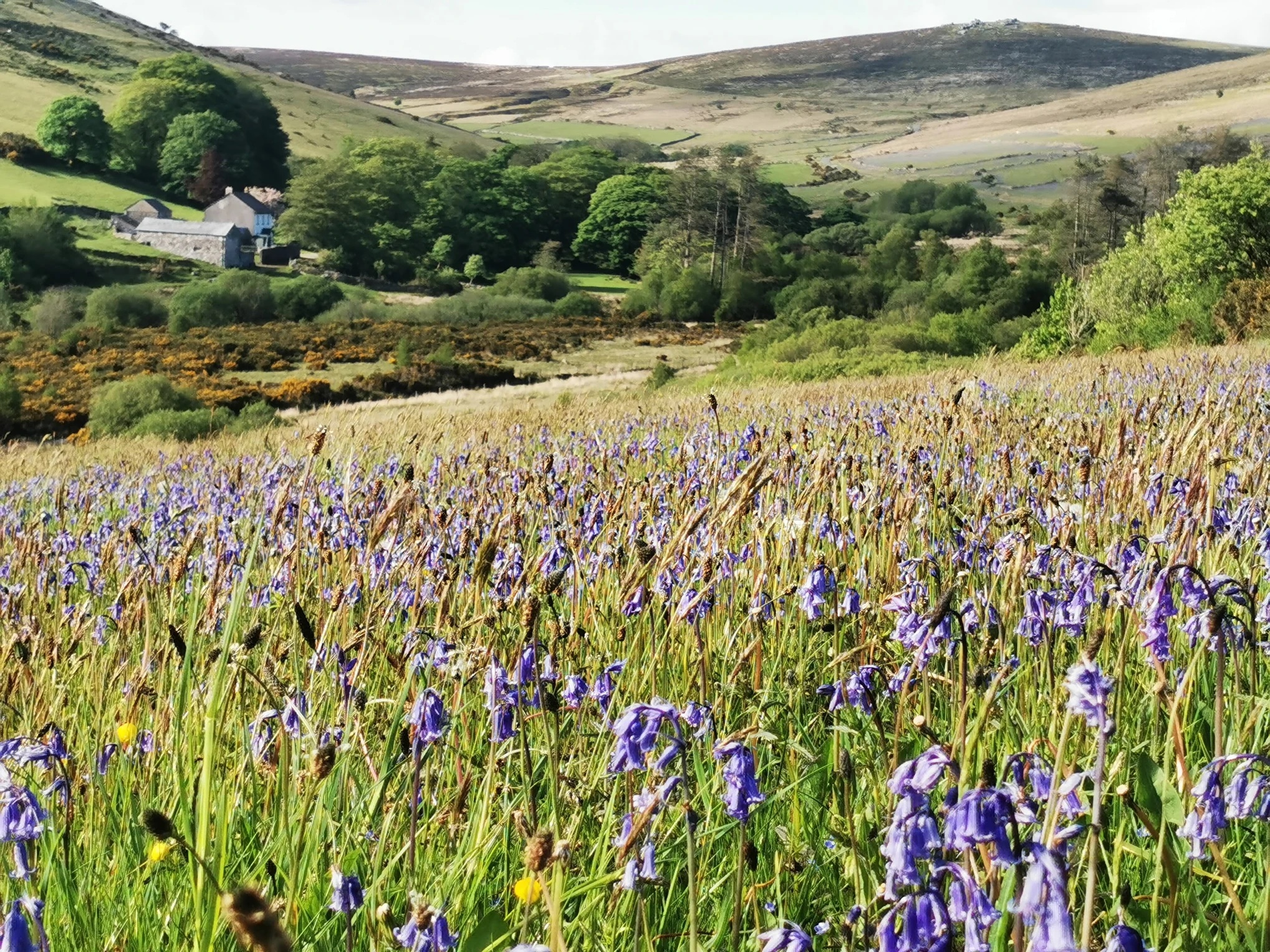 Challacombe Farm Walk - CMA
