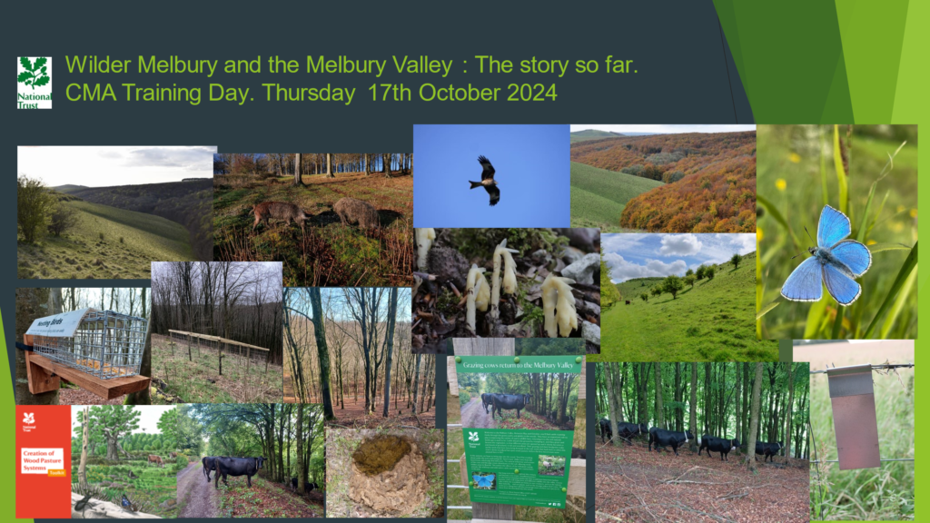 Wilder Melbury & the Melbury Valley - The Story so Far - CMA